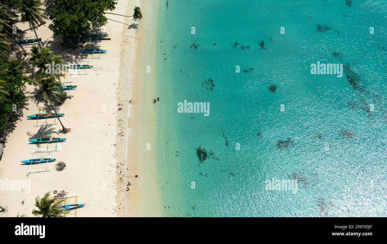 Aerial view of sandy beach with palm trees and ocean surf with waves ...