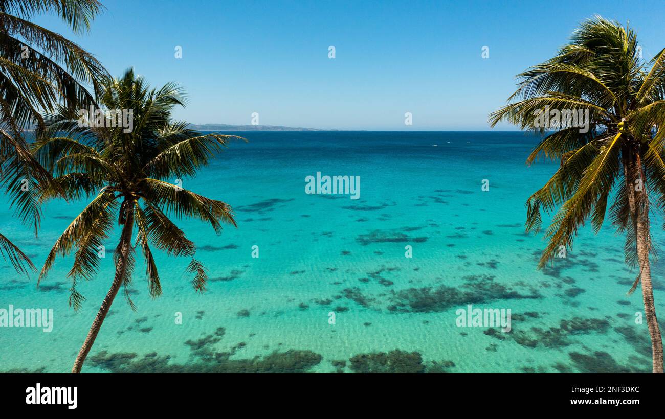 Beautiful beach, palm trees by turquoise water view from above ...