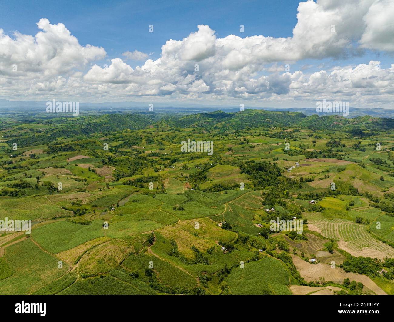 Aerial view of plantations of sugar cane and agricultural land on the ...