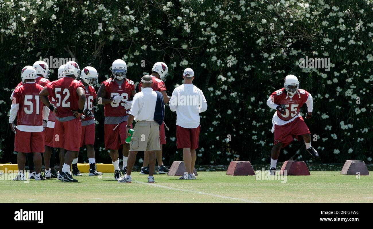 Arizona Cardinals defensive backs run during the Cardinals mini-camp ...