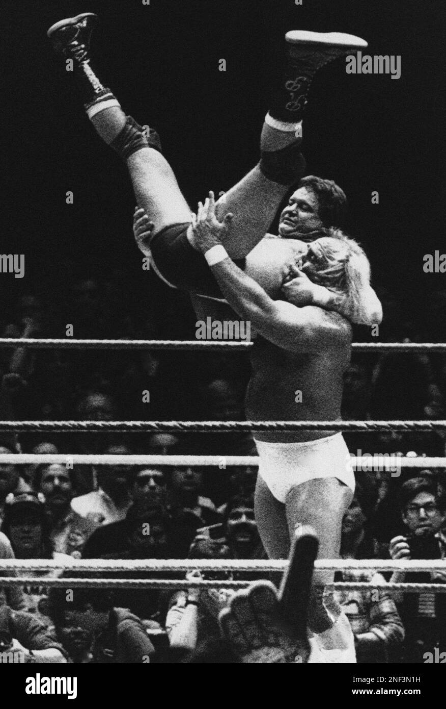 Wrestler Hulk Hogan prepares to slam "Rowdy" Roddy Piper down on the ...