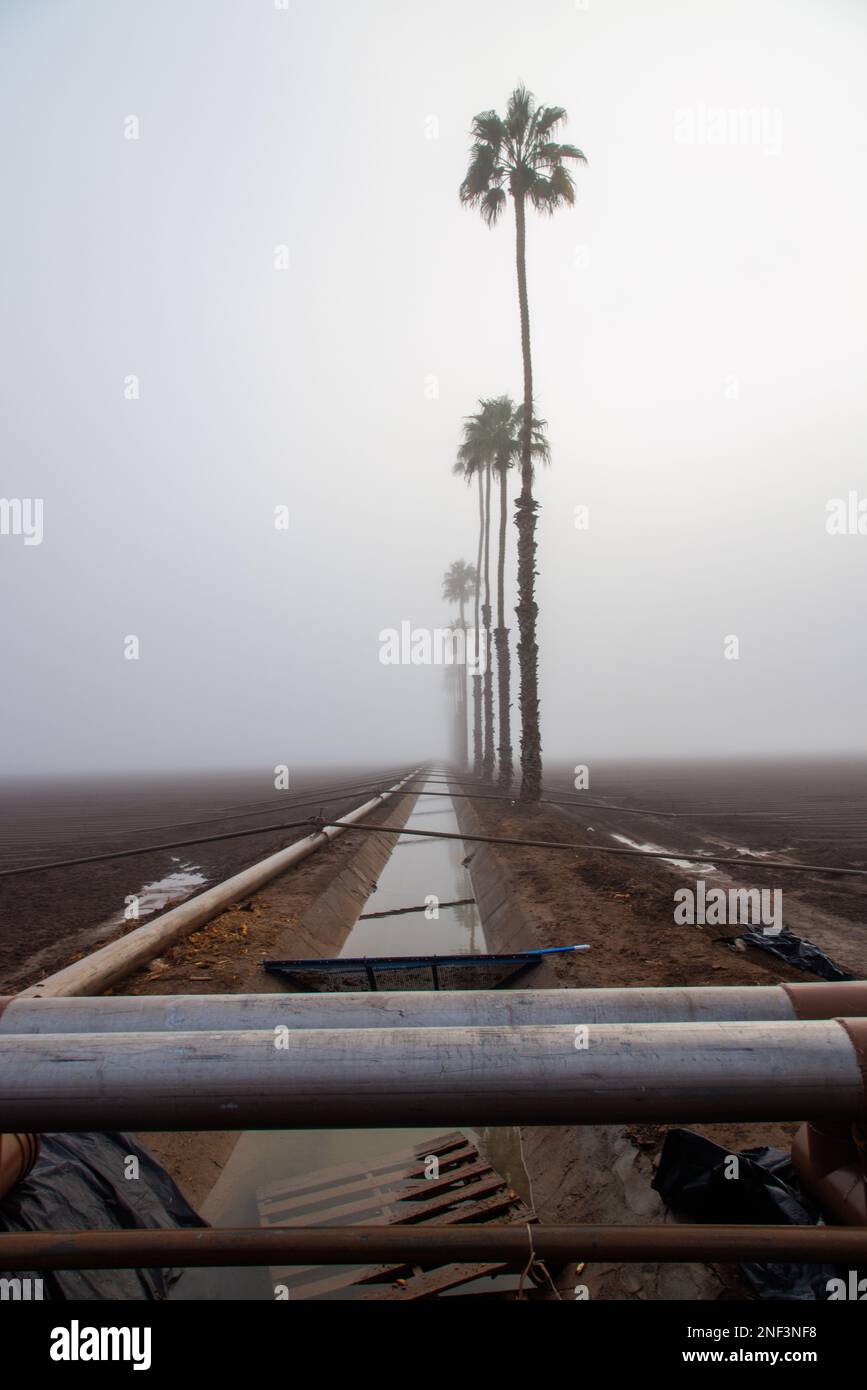 Palm techniques hi-res stock photography and images - Alamy