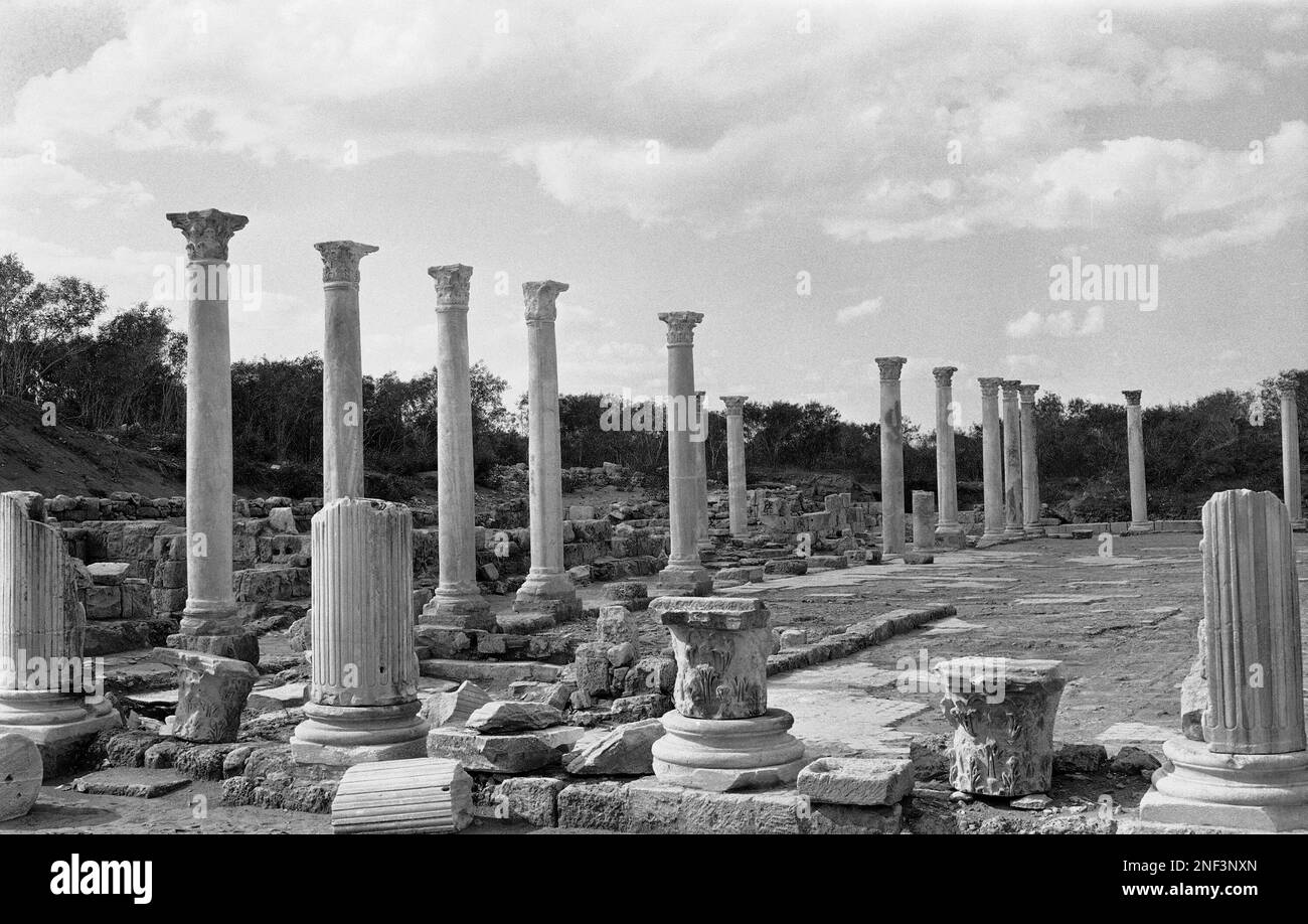 The ruins of Salamis, near Famagusta, Cyprus shown August 21, 1956. (AP ...