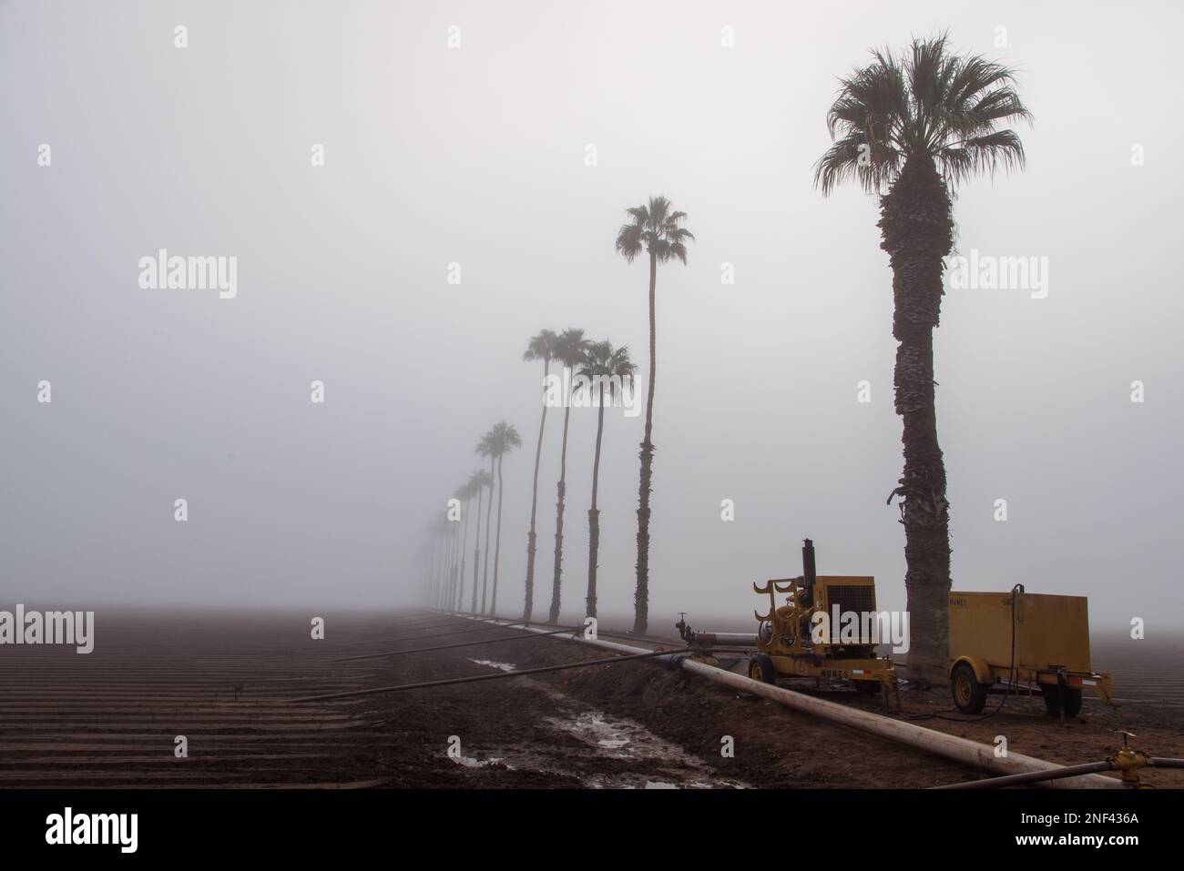 Yuma az agriculture hi-res stock photography and images - Alamy