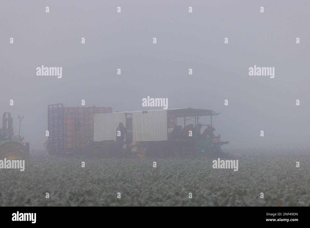 Agriculture trends hi-res stock photography and images - Alamy