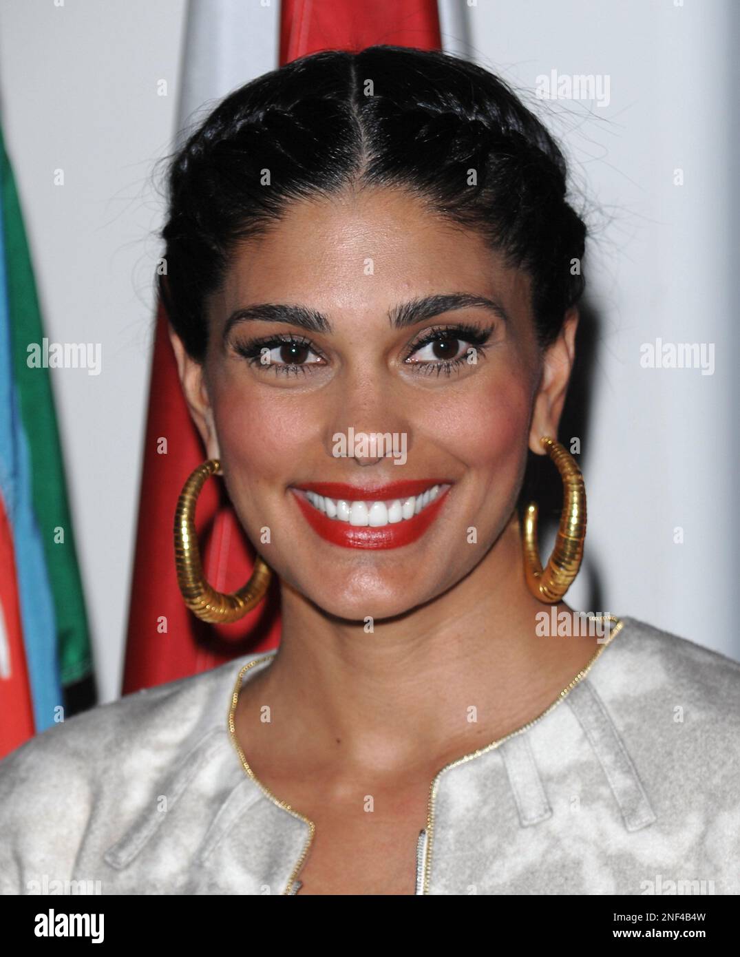 Designer Rachel Roy attends a special evening to honor artist Ross ...