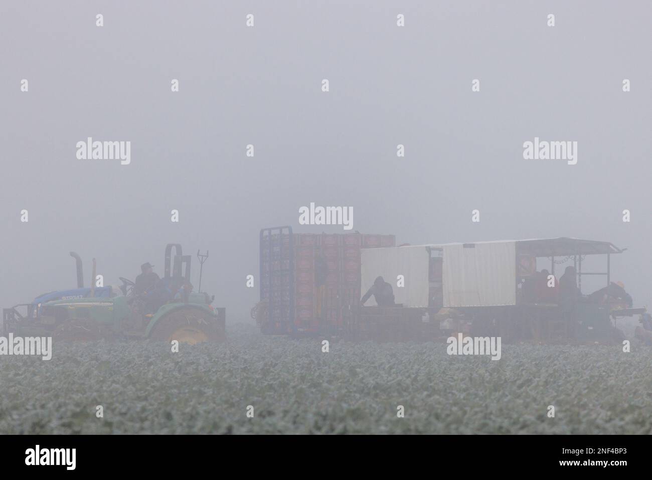 Agriculture trends hi-res stock photography and images - Alamy