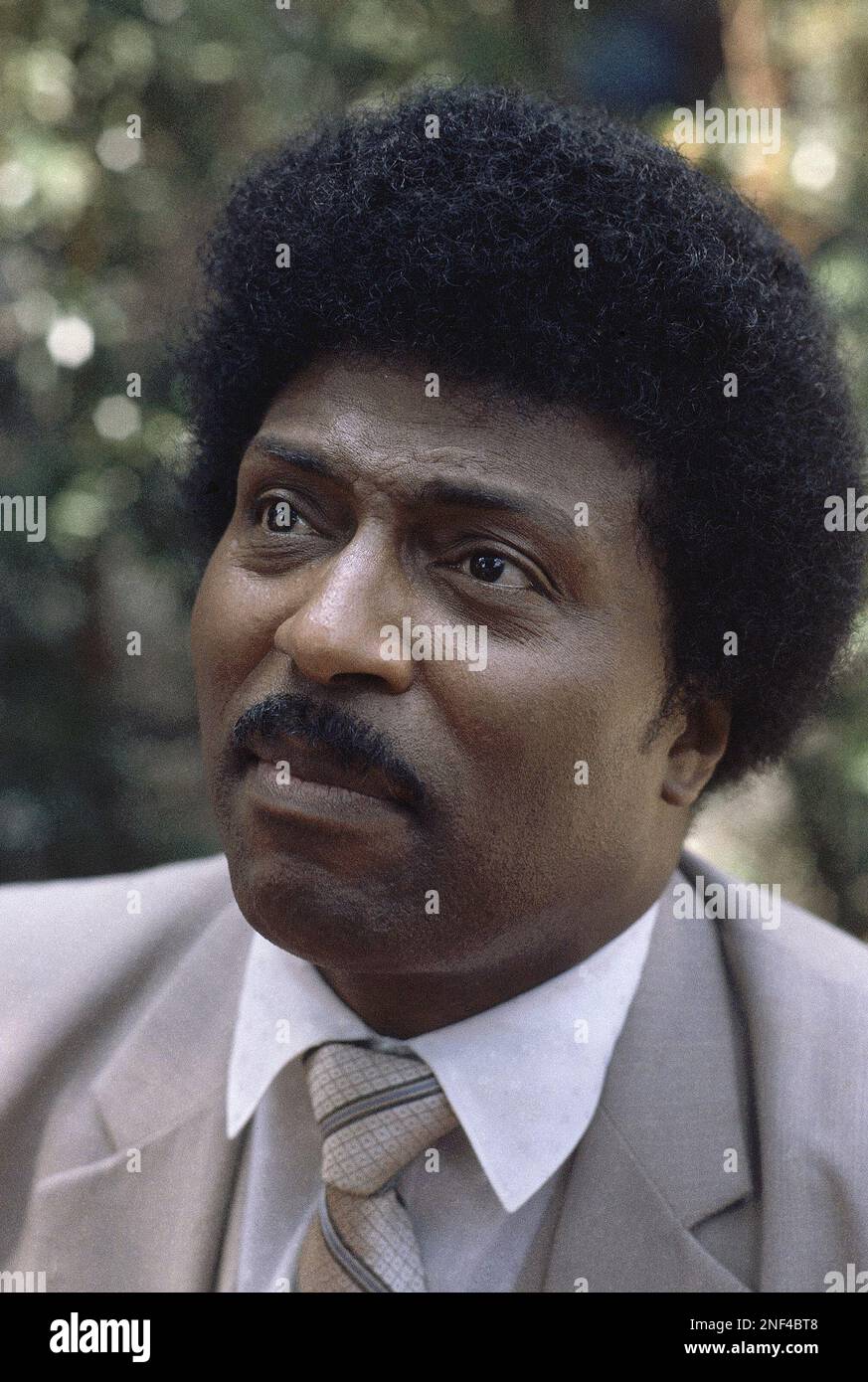 Little Richard Jheri Curl Hair