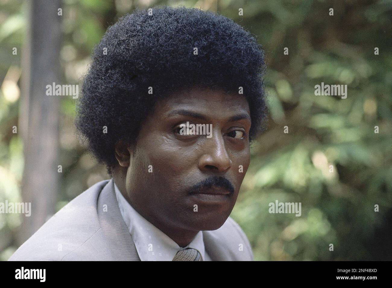 Little Richard Jheri Curl Hair