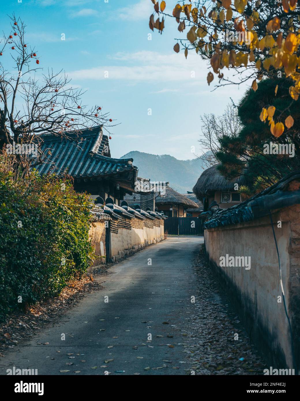 A small street at Hahoe Folk Village leading past a temple and towards ...