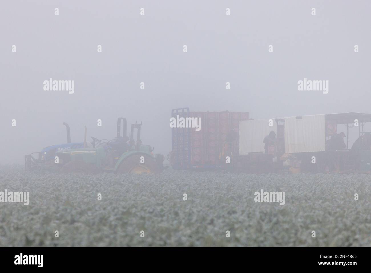 Yuma az farming community hi-res stock photography and images - Alamy