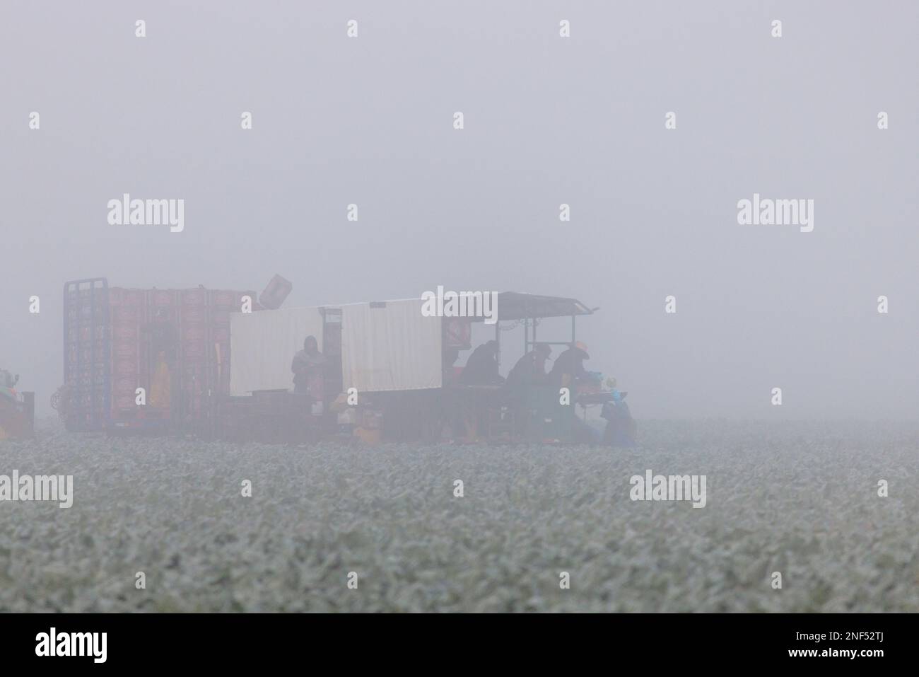 Yuma az farming community hi-res stock photography and images - Alamy