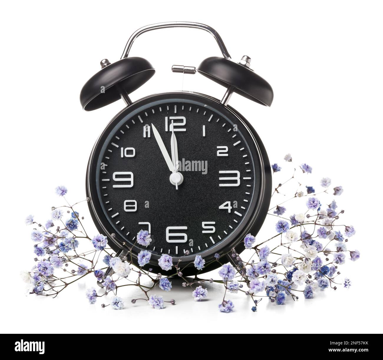 Flowers coming Cut Out Stock Images & Pictures - Alamy