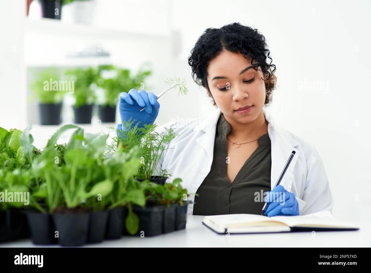 Collecting and analyzing data. a female scientist making notes while ...