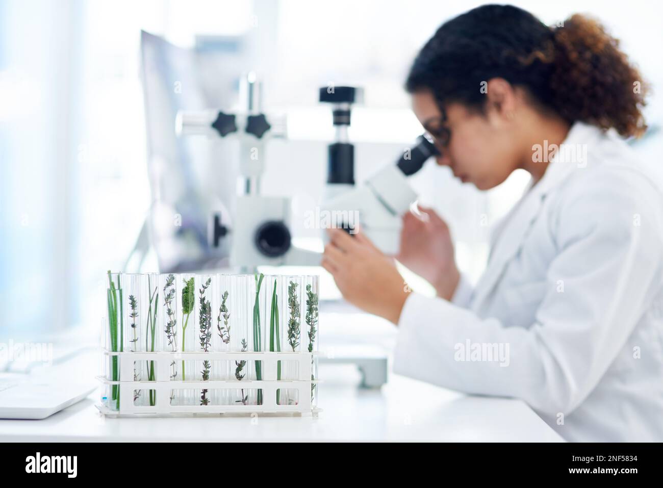Studying the structure of plant cells. a young female scientist using a ...