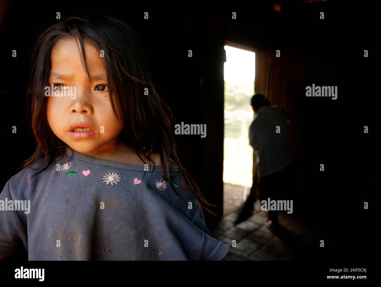 An Ache indigenous child looks out from her home in Chupa Pou ...