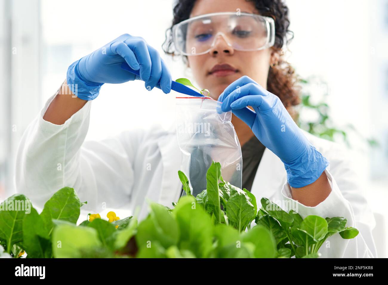 Theres so much more to discover. a scientist getting samples from a ...