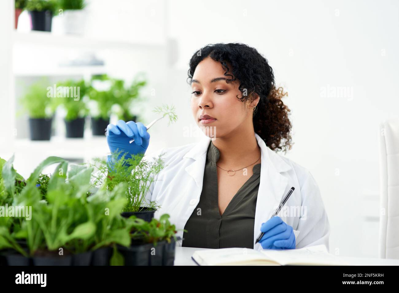 Im studying the reproductive behavior of plants. a female scientist ...
