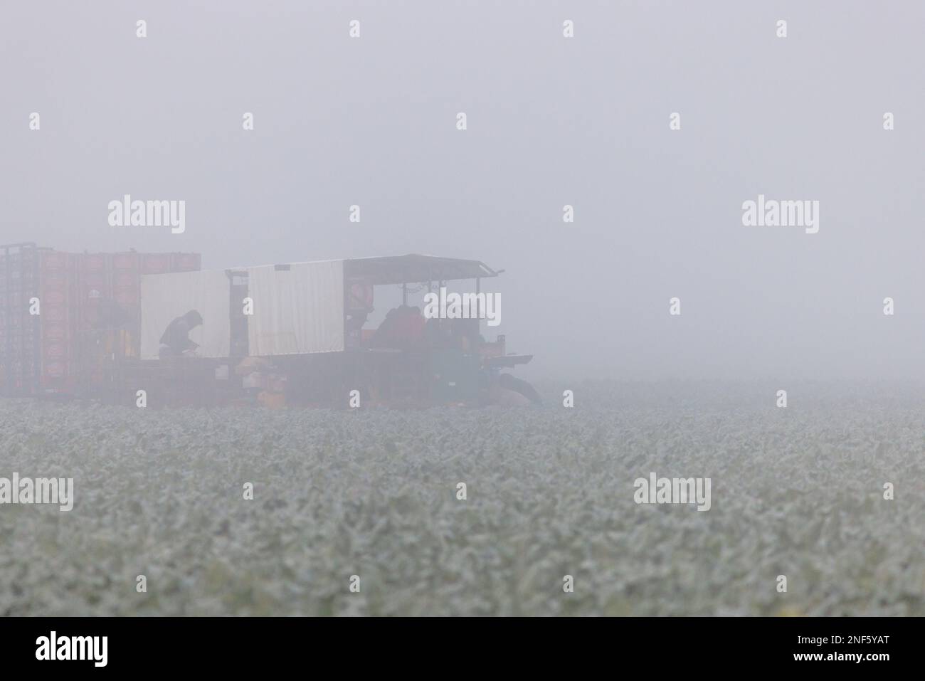 Yuma az farming community hi-res stock photography and images - Alamy