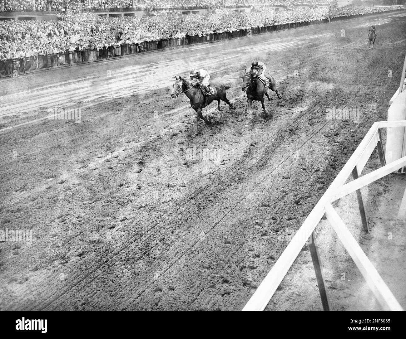 Sword dancer earns the winners carnations by three quarters of length ...