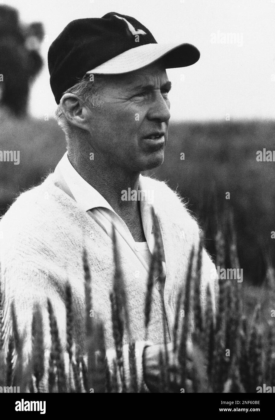 Norman Ernest Borlaug, American agricultural expert who won a Nobel ...