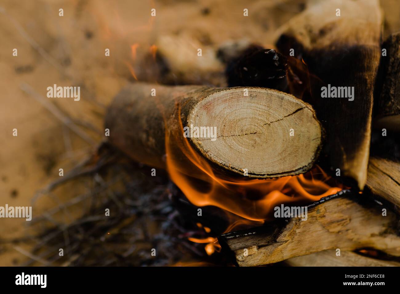 A closeup of a log burning on the flame of a burning bonfire for ...