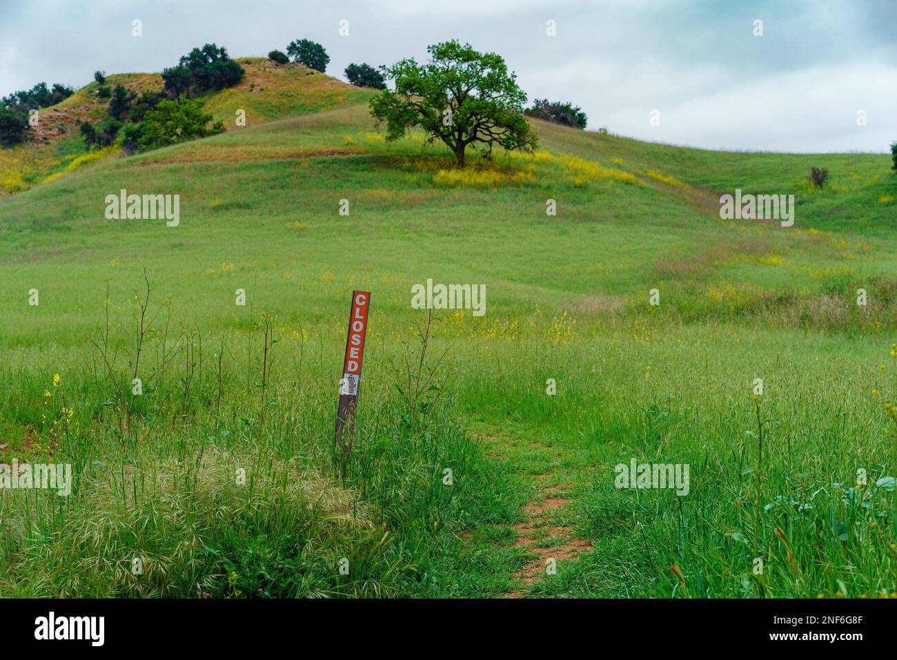 An aerial view of greenery field with trees Stock Photo - Alamy