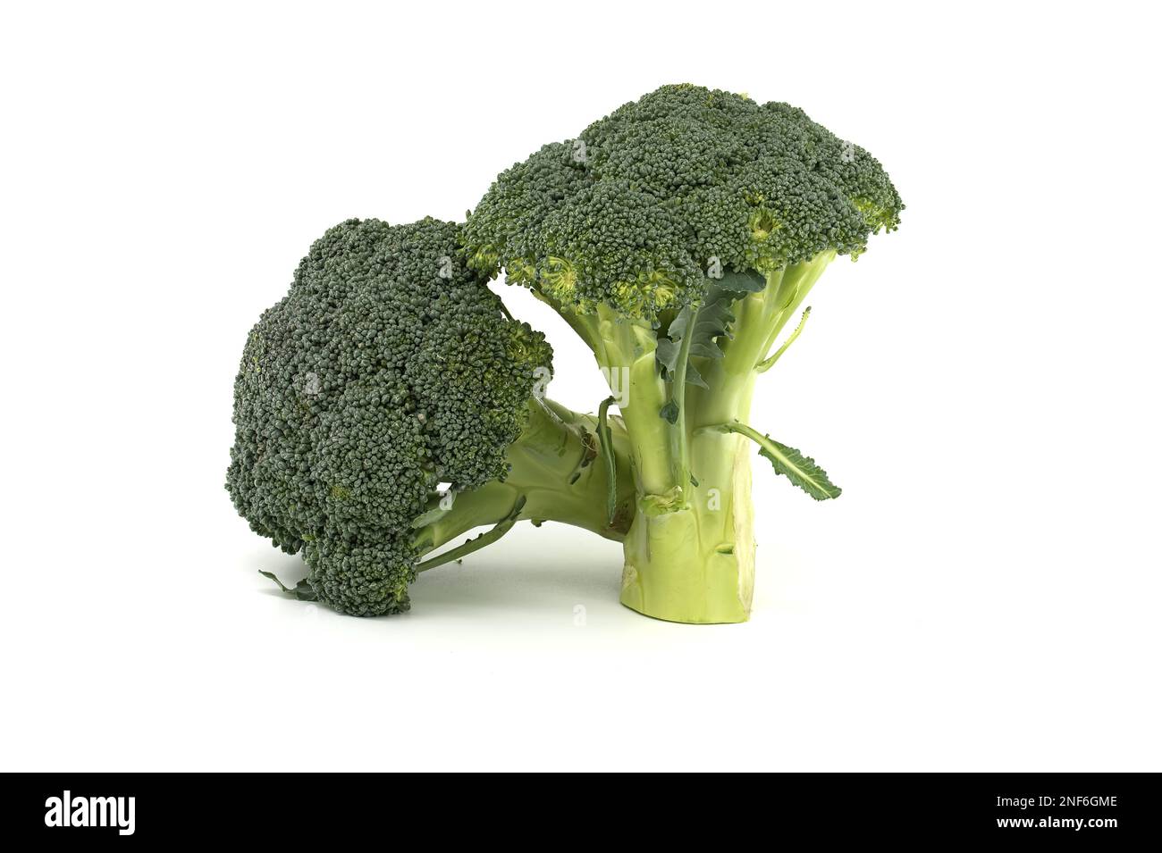 Broccoli flower heads isolated on white background, full depth of field ...