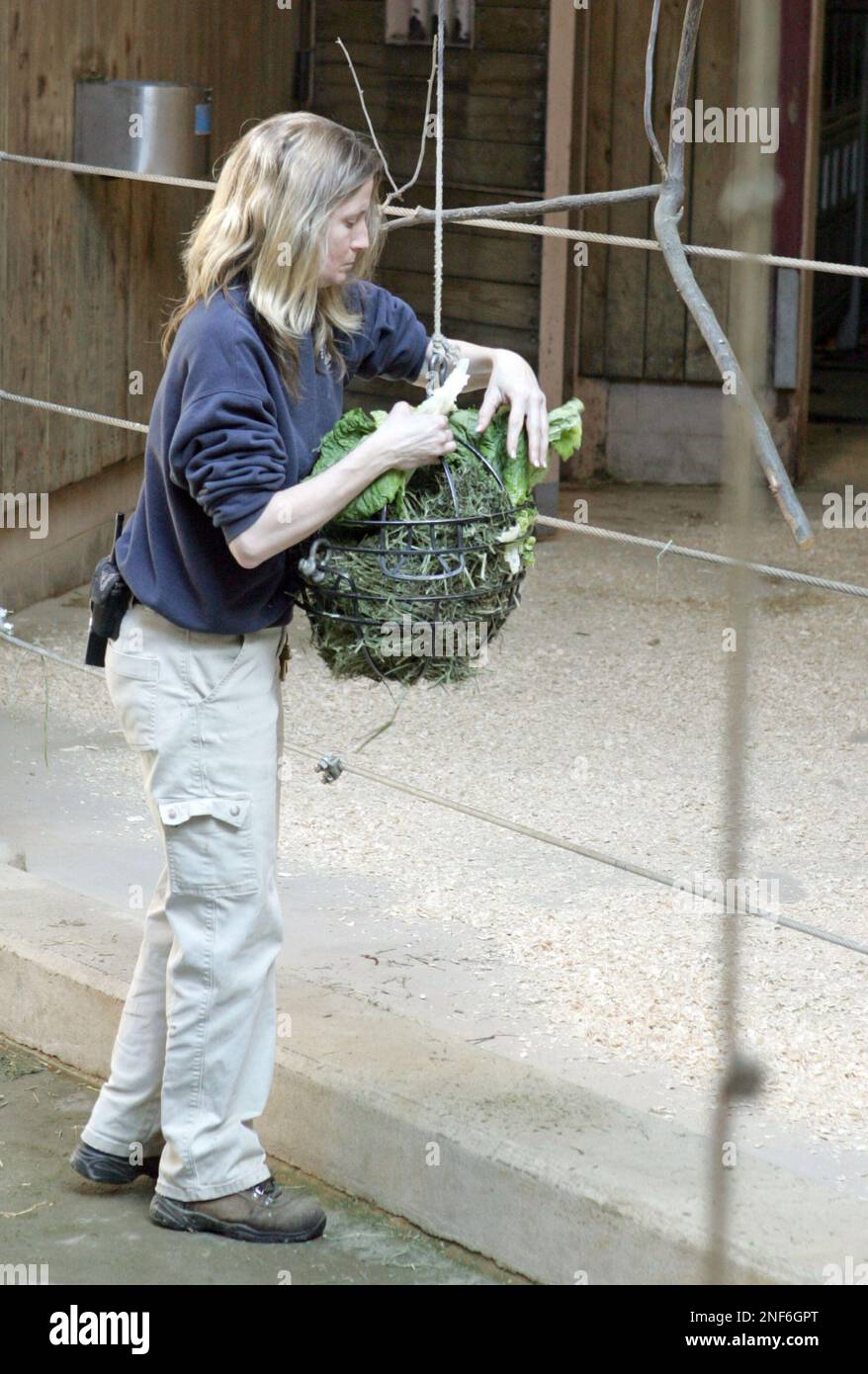 Zoo keeper Rachel McClung attaches a wire basket to a pulley system for ...