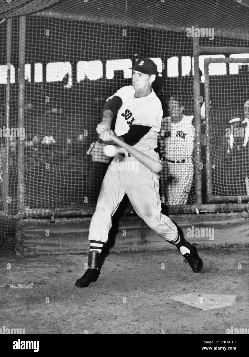 Ted Williams, Boston Red Sox left fielder is shown as he takes batting ...