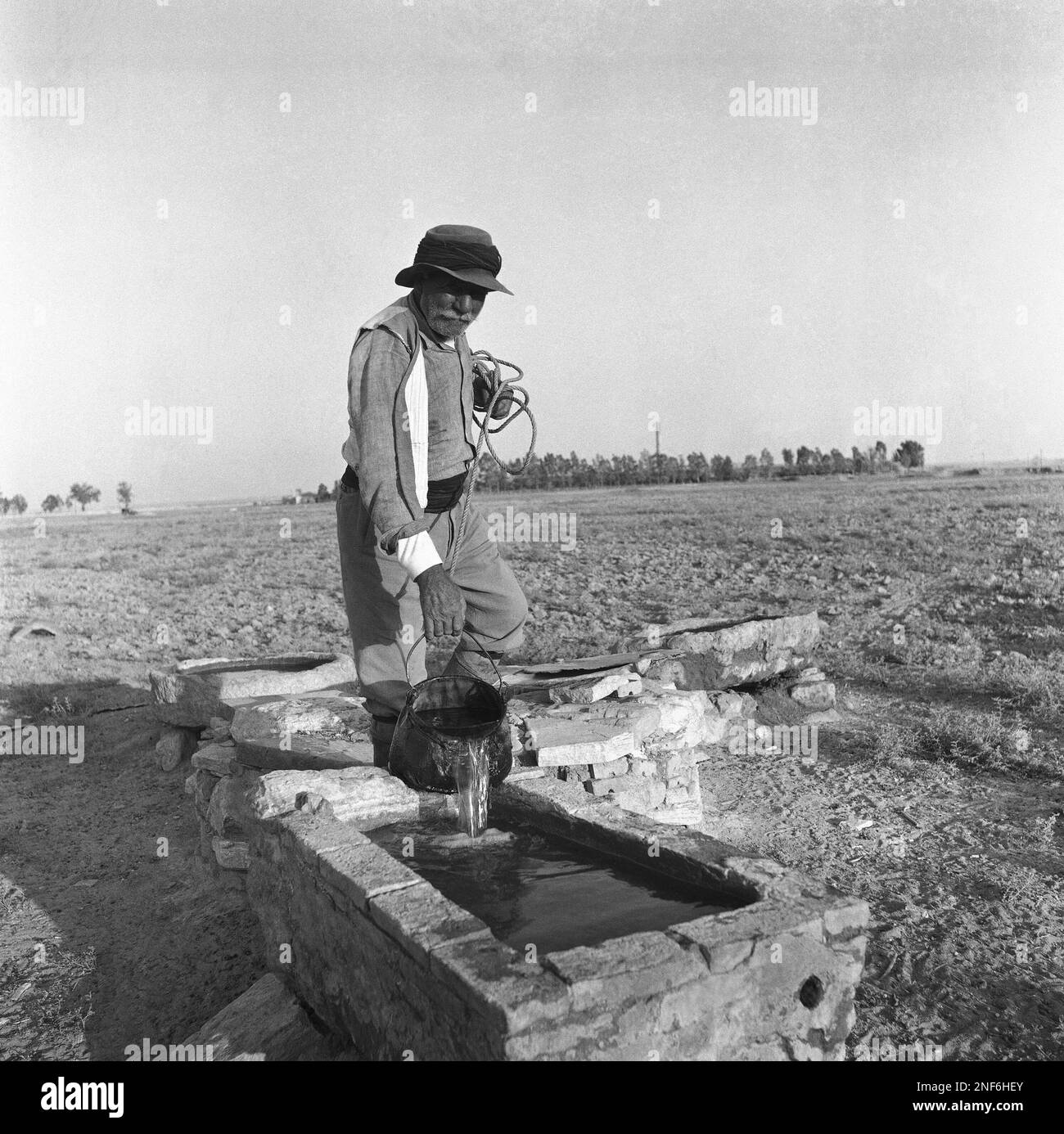 Greek Shepherd Panayis Yanni, 77, draws water for his flock near the ...