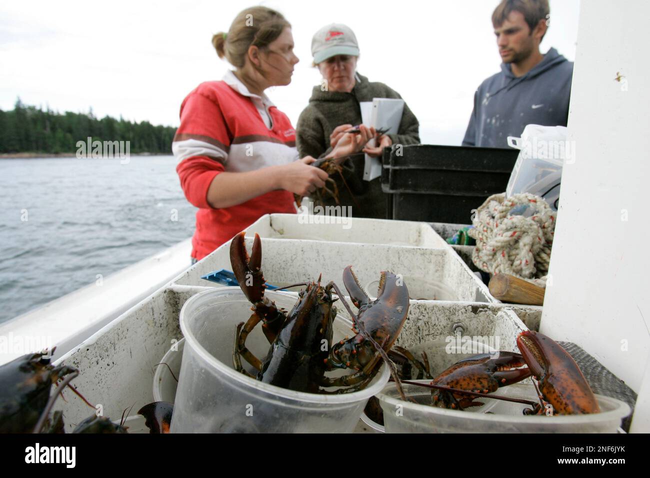 Diane Cowan, center, aboard a lobster boat, on Friendship Long Island ...
