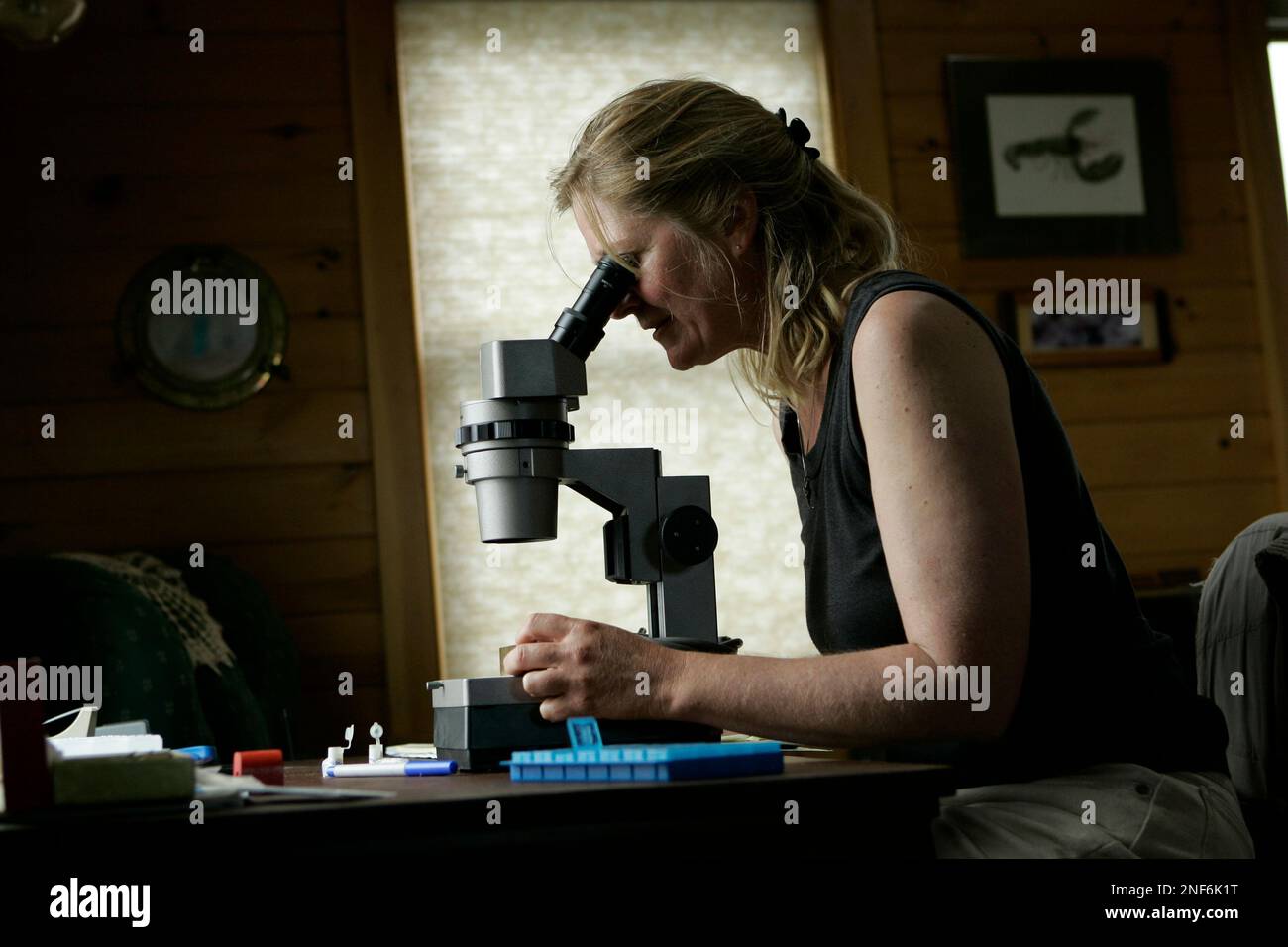 Diane Cowan uses a microscope at her home on Friendship Long Island ...