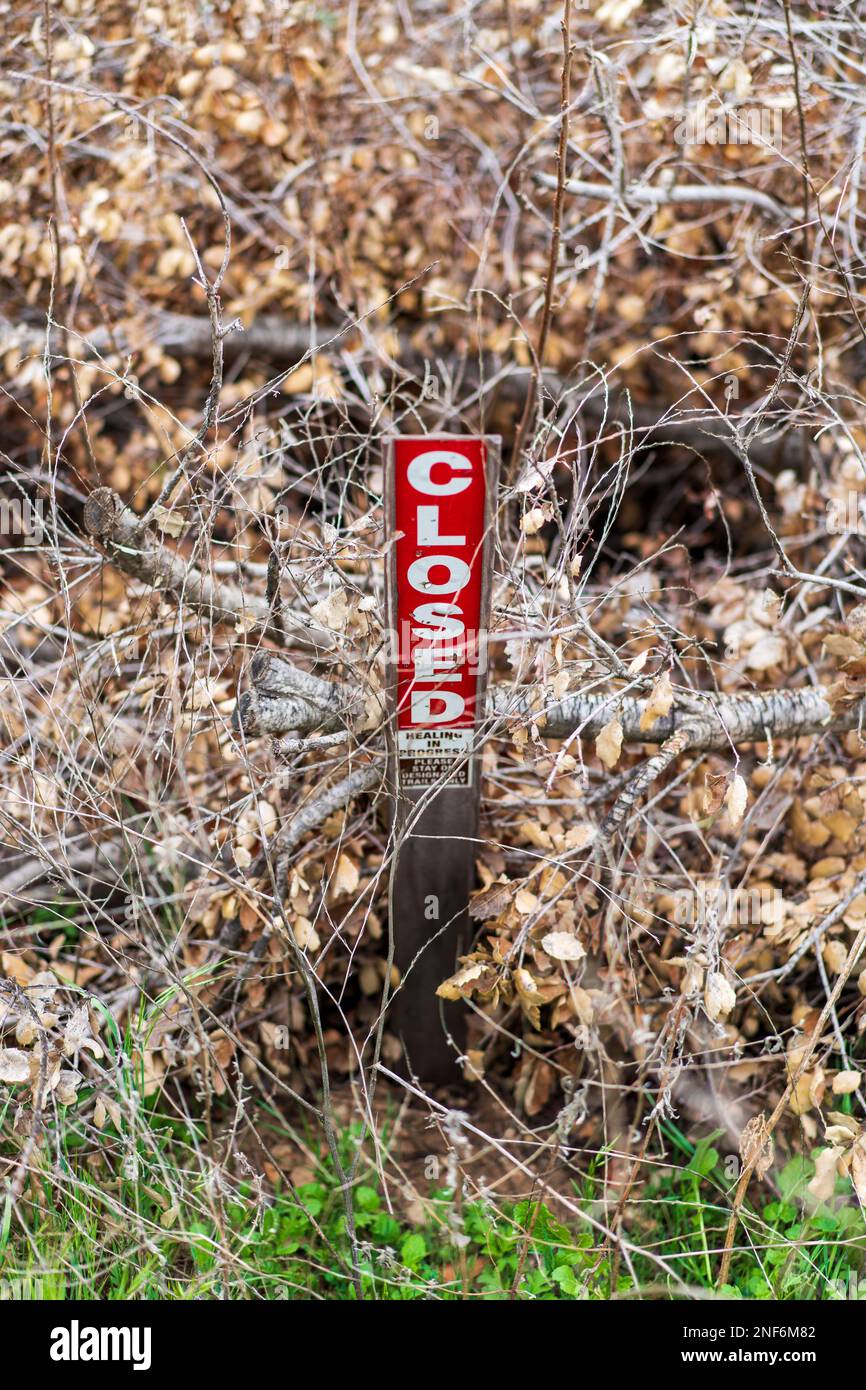 A sign closed between tree branches Stock Photo - Alamy