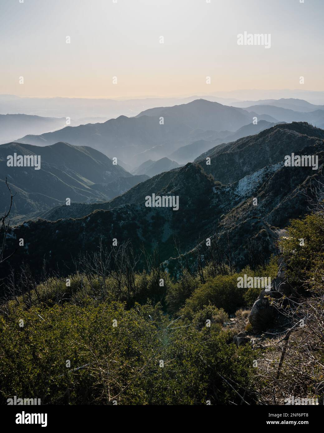 An aerial view of mountain landscape with trees Stock Photo - Alamy