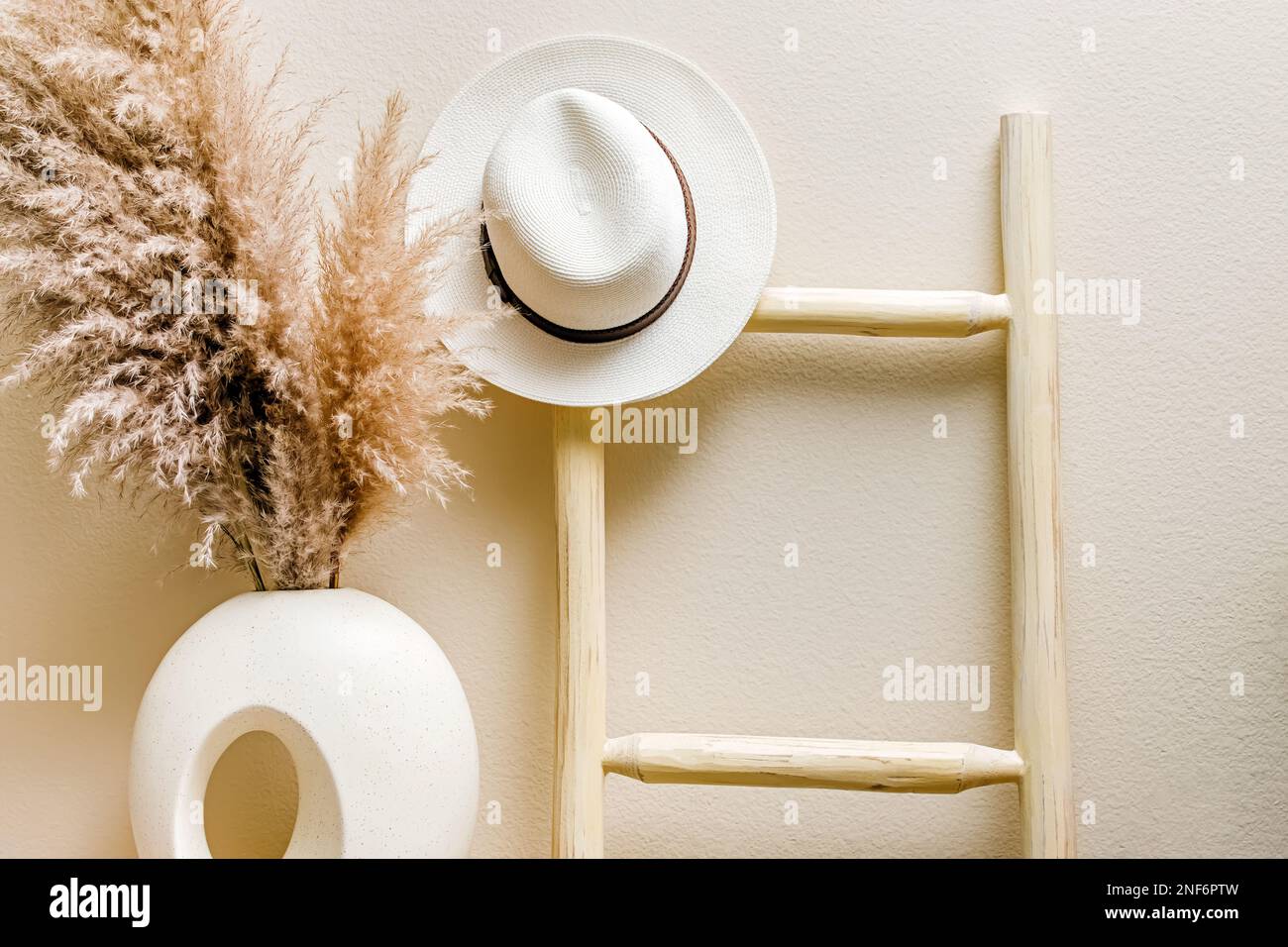 Pampas grass interior hi-res stock photography and images - Alamy