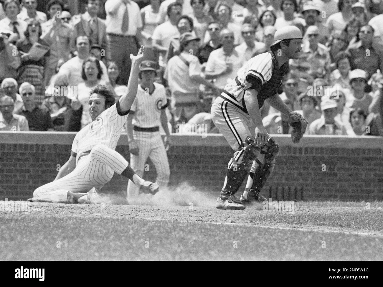 As Larry Biittner of the Chicago Cubs slides safely into home ...