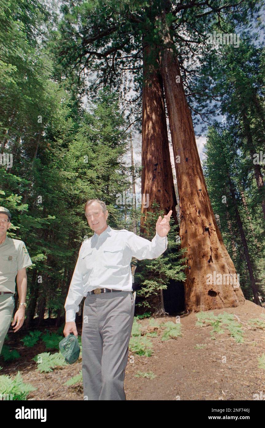 U.S. President George H. Bush stops briefly in front of a pair of giant ...