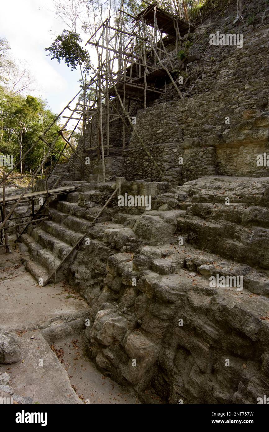 La Danta pyramid is seen at El Mirador archaeological site, northern ...