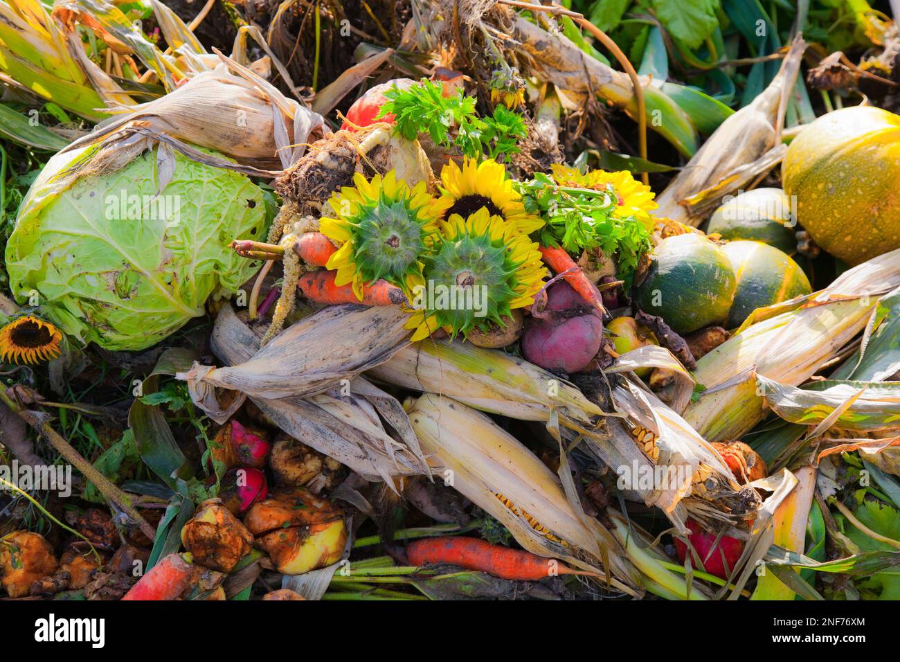 COMPOST HEAP IN AUTUMN Stock Photo - Alamy