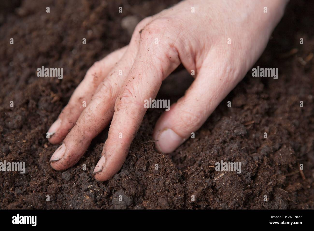 Dirty hand on soil Stock Photo - Alamy
