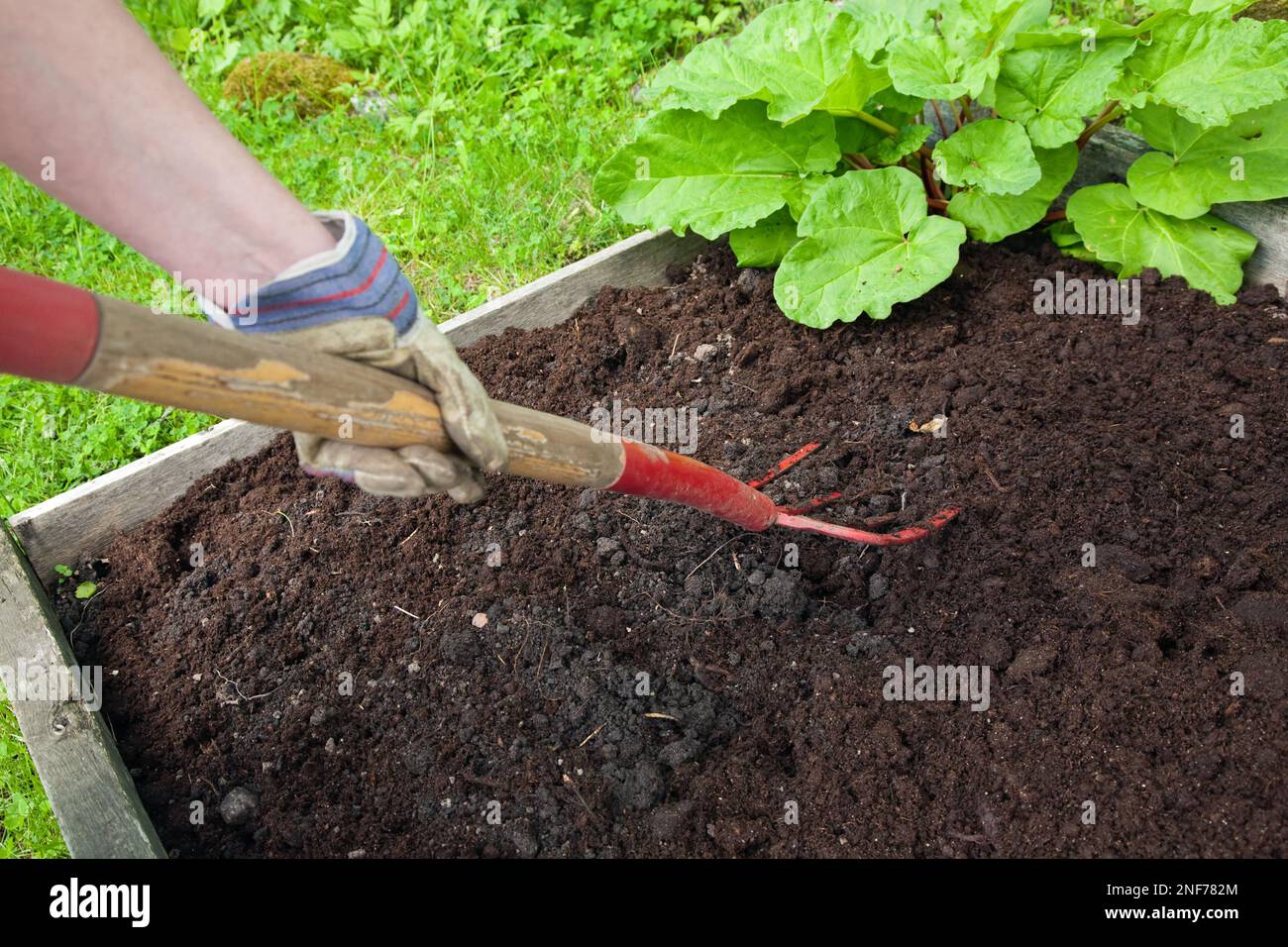 Preparing the soil in spring Stock Photo - Alamy