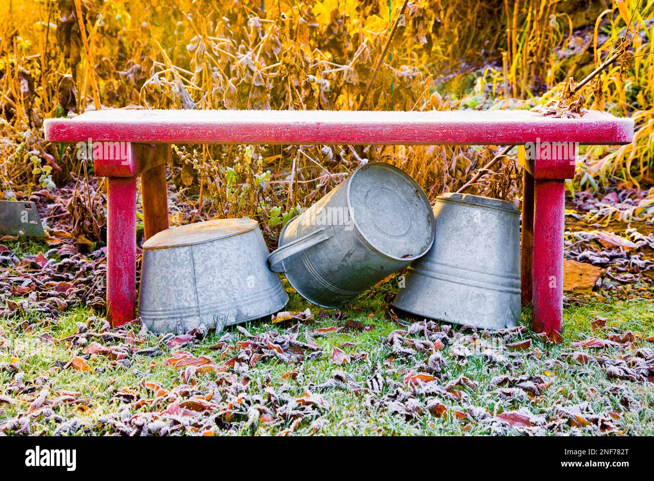 Zink tubs and watering can under red frosy bench Stock Photo - Alamy