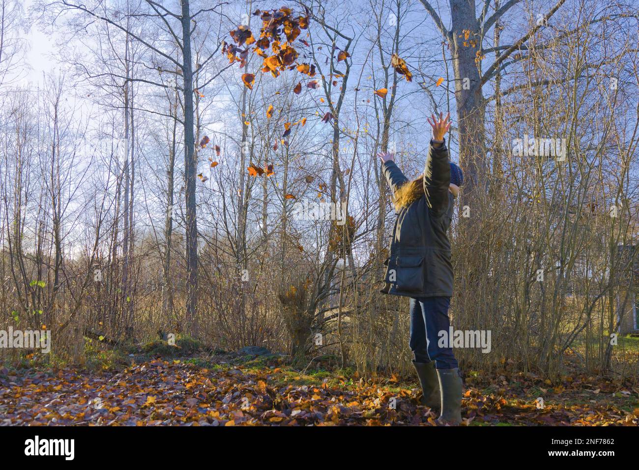 Woman throwing autumn leaves in the air Stock Photo - Alamy