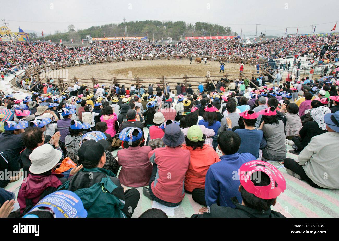 Spectators watch bullfighting at the 2008 Bullfighting Festival in ...