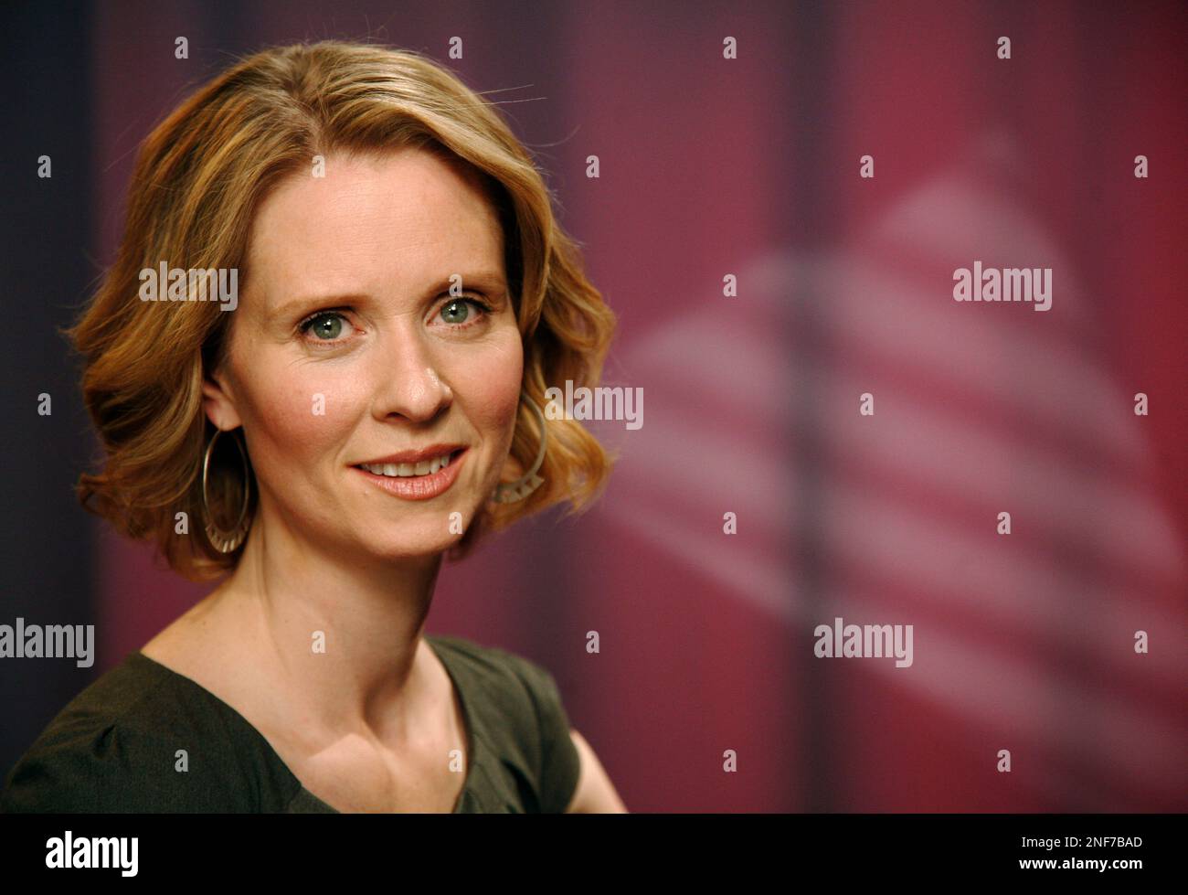 Actress Cynthia Nixon poses for a portrait Tuesday, March 3, 2009 in ...
