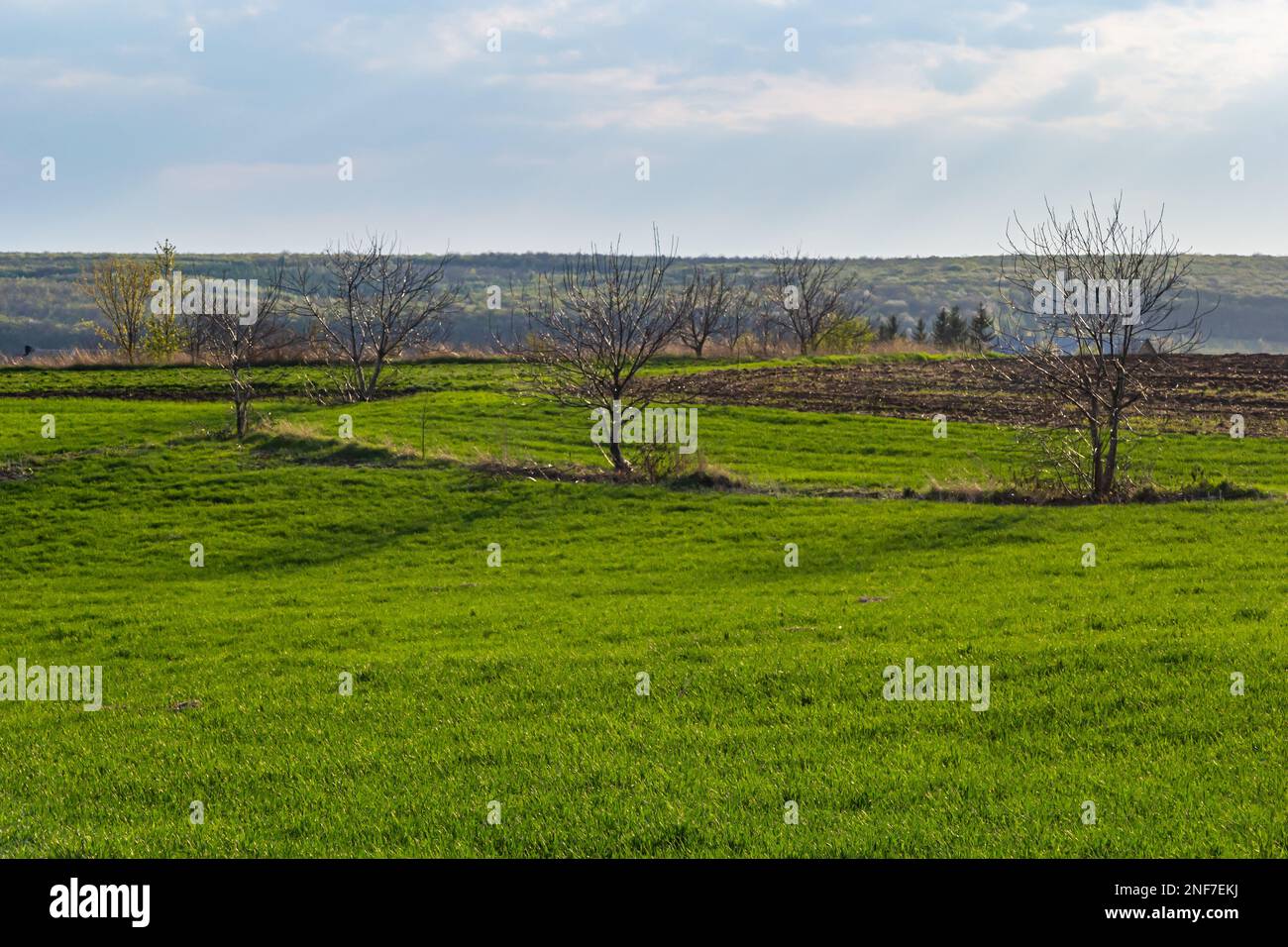 Beautiful spring landscape. Agricultural field with freshly cultivated ...