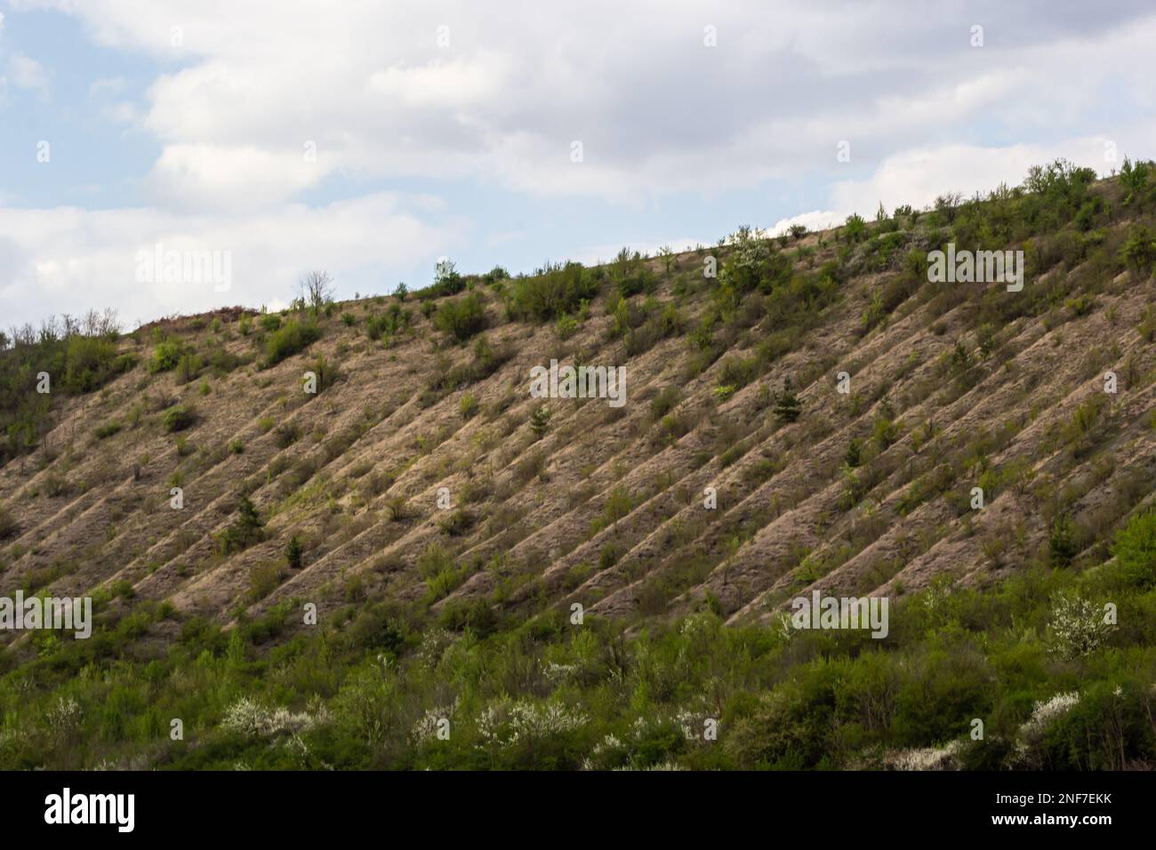 View ravine covered with greenery. Landscape valley with geological ...