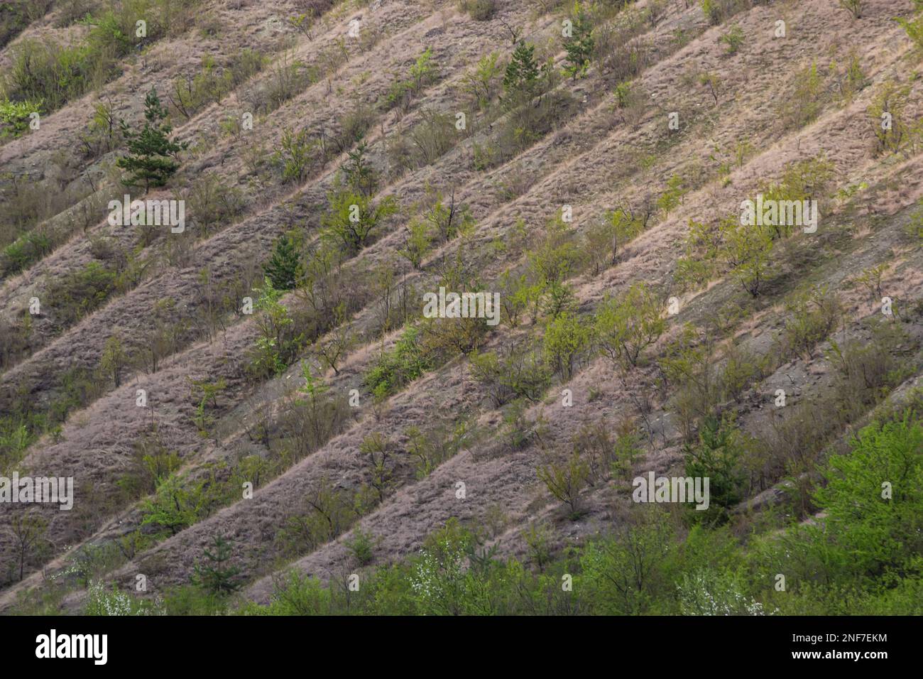 View ravine covered with greenery. Landscape valley with geological ...