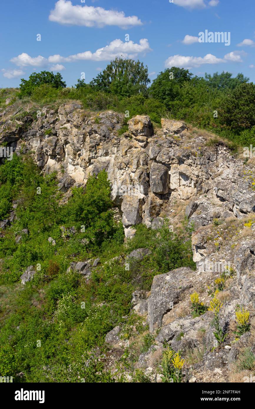 View ravine covered with greenery. Landscape valley with geological ...